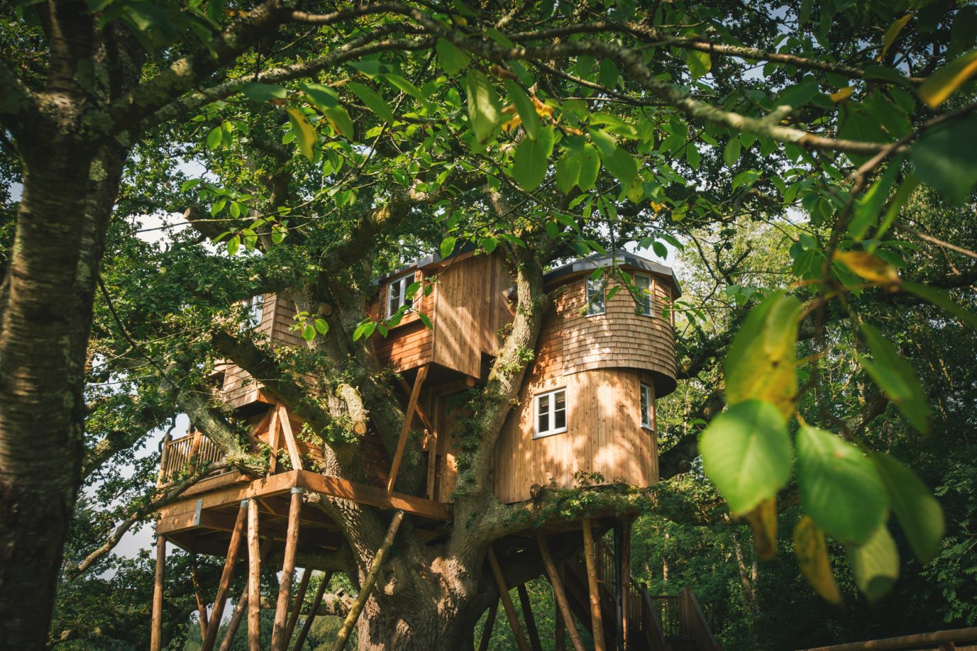 Make Your Faraway Tree Fantasies Come True in Britain's Five Best ...