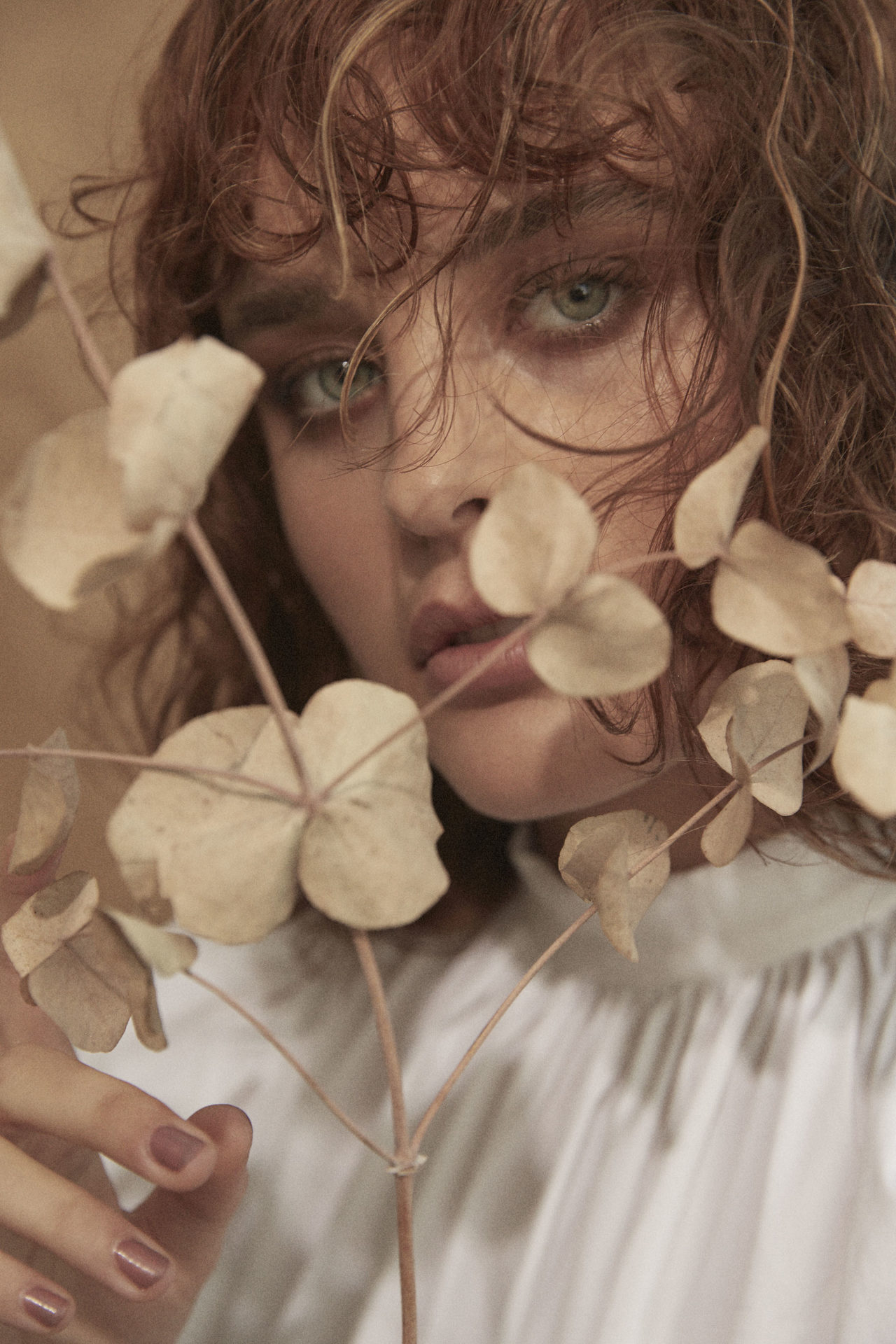 Faded Earth - PHOENIX Magazine